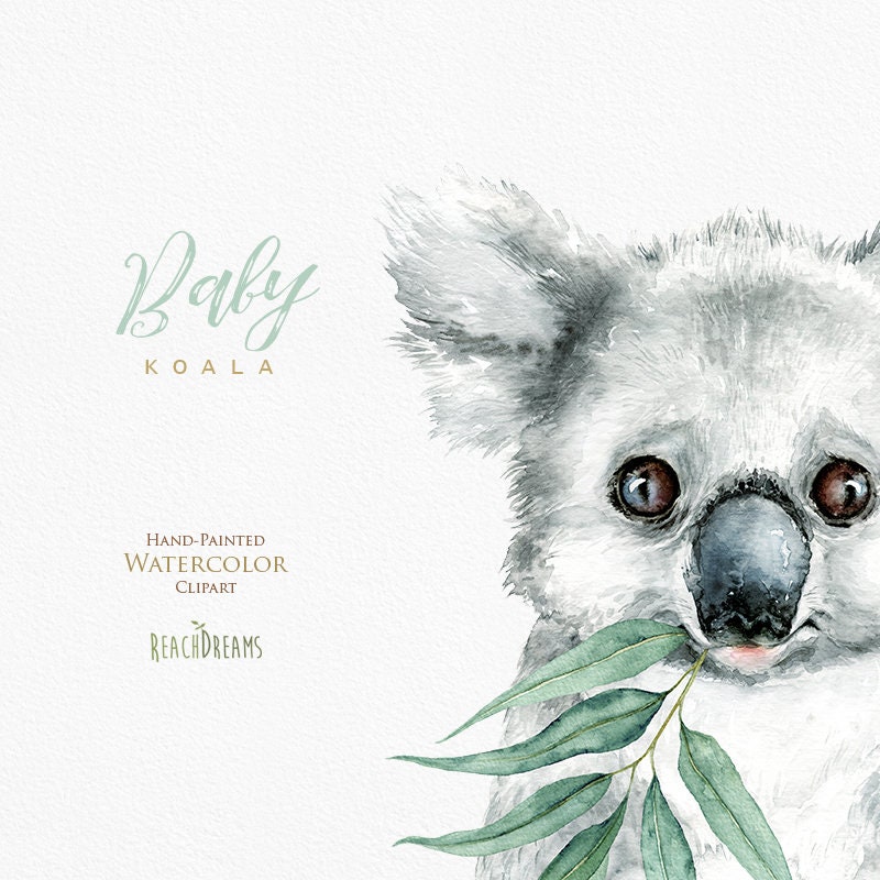 Watercolor Koala. Little Animals Clipart, Babies Portrait, Australia ...