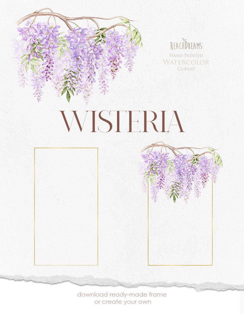 Wisteria Floral Clipart Watercolor Frame Clipart Flower - Etsy