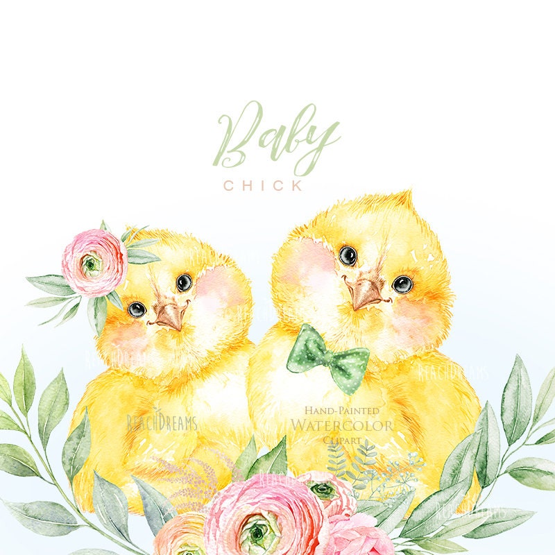 Watercolor Chick Clipart Little Animals Floral Spring - Etsy UK