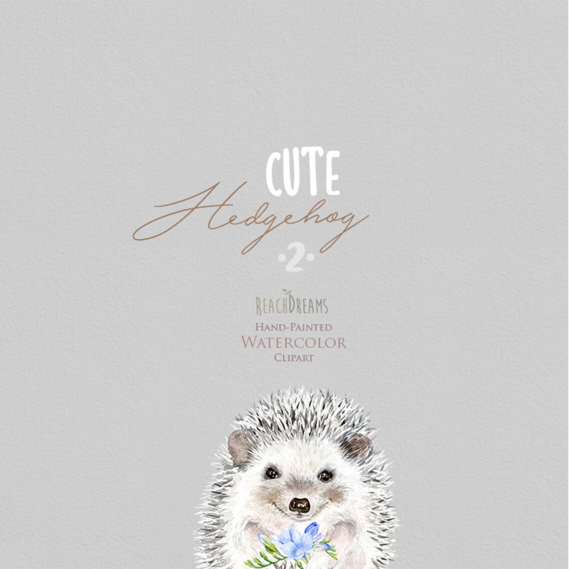 Hedgehog Cute Little Animals Watercolor Clipart Nursery | Etsy