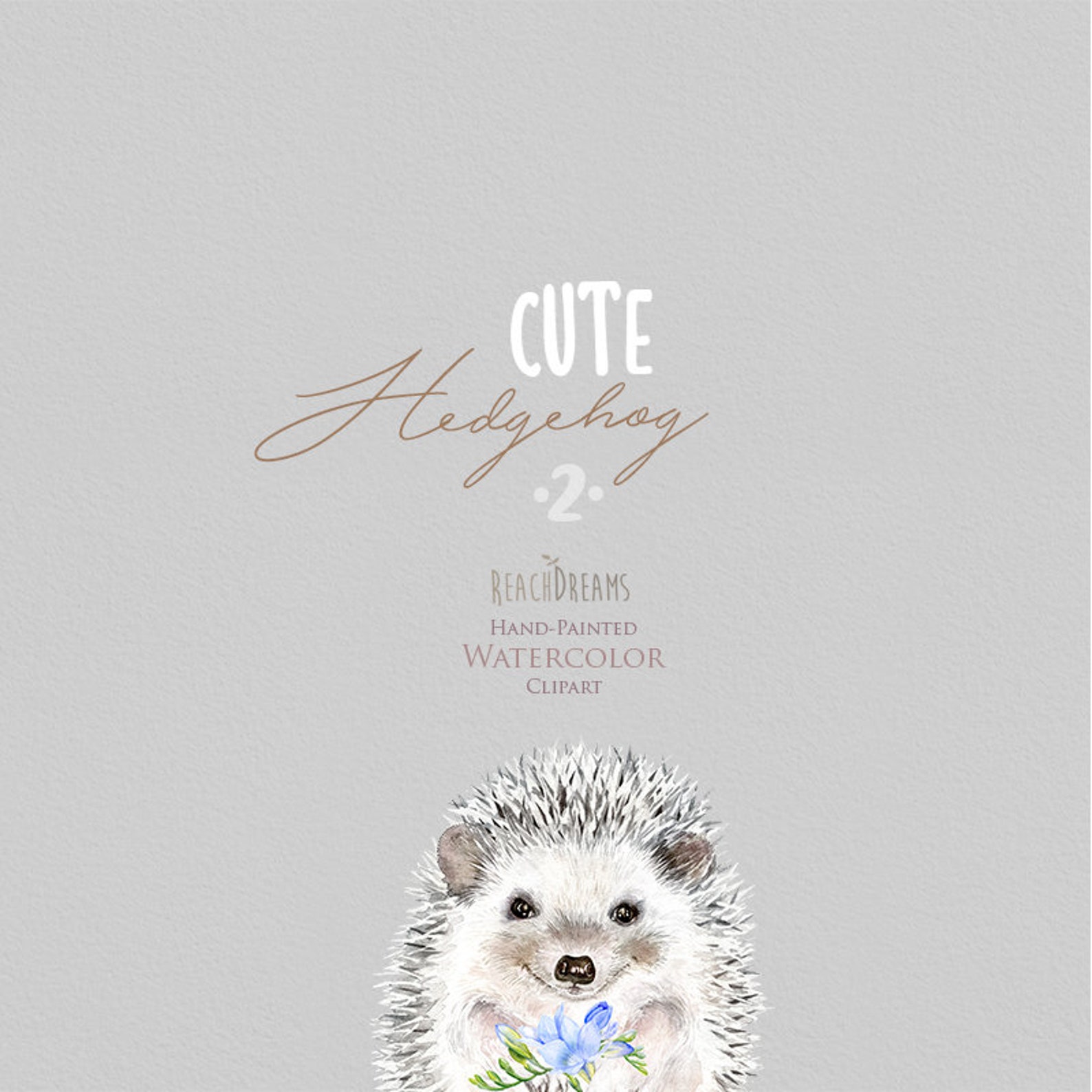 Hedgehog Cute Little Animals Watercolor Clipart Nursery | Etsy
