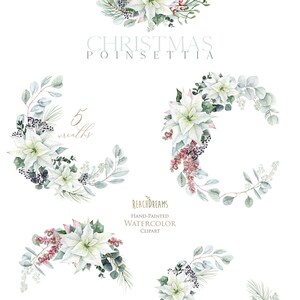 White Poinsettia, Christmas Wreaths, Eucalyptus, Holiday Flowers ...