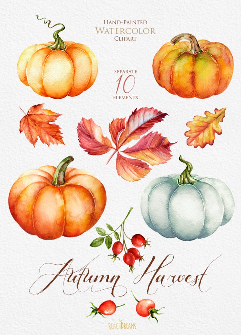 Pumpkin Watercolor Clipart Halloween Autumn Briar Yellow - Etsy