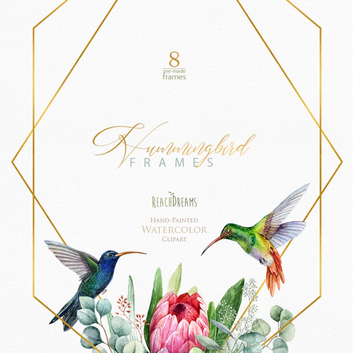 Hummingbirds Frames Watercolor Clipart Geometric Exotic - Etsy