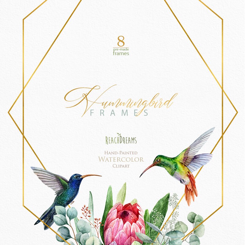 Hummingbirds Frames Watercolor Clipart Geometric Exotic - Etsy