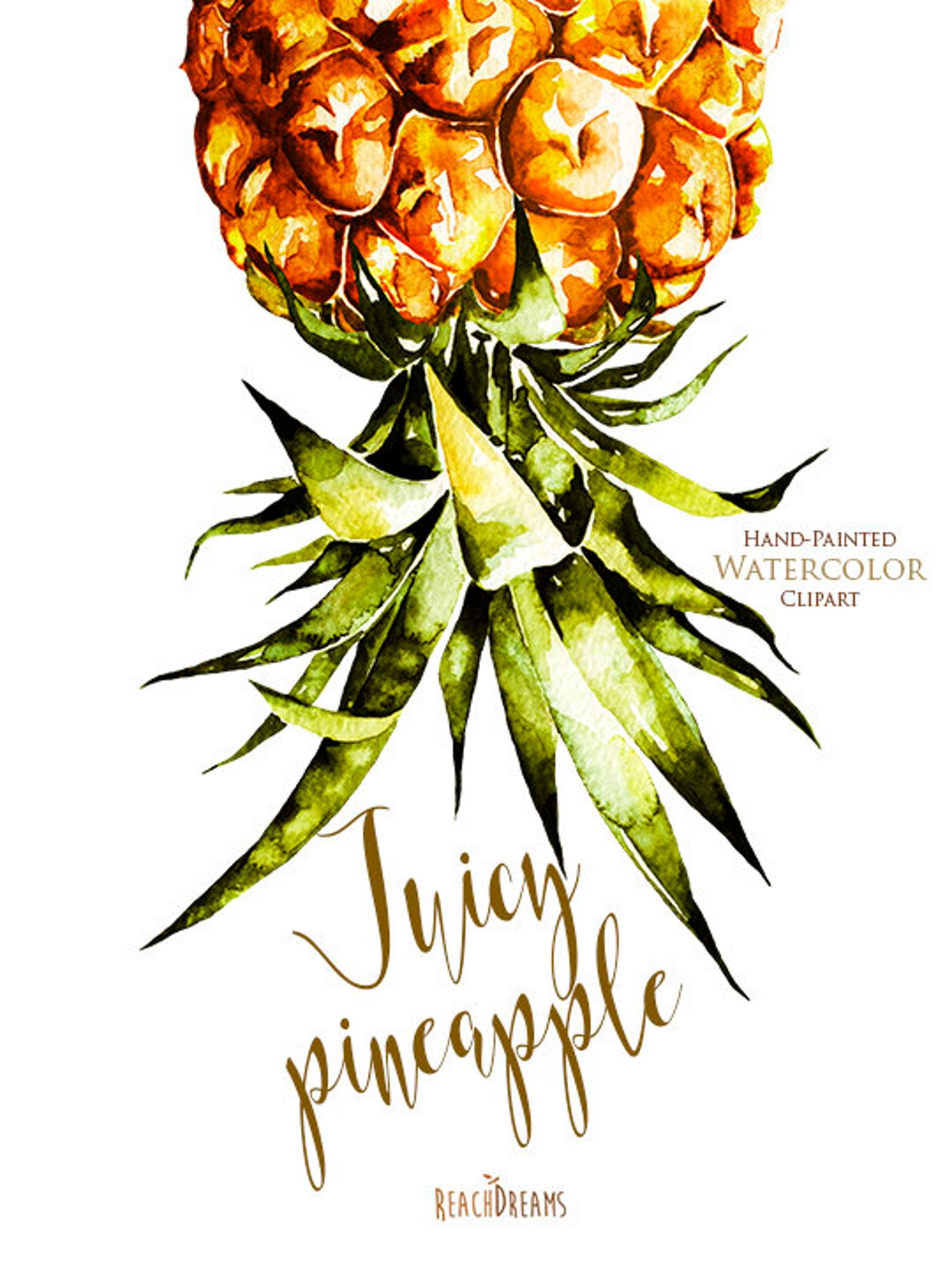 Watercolor Pineapple Clipart Tropical Fruit Exotic Hawaii | Etsy
