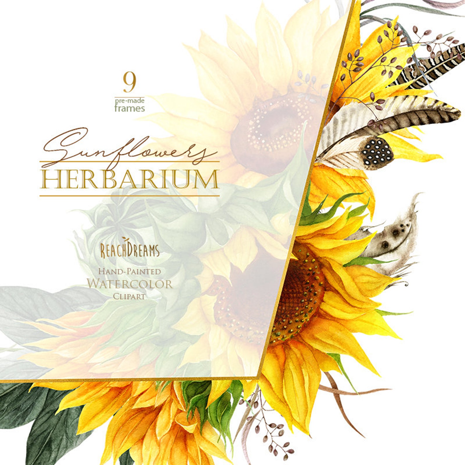 Sunflowers Watercolor Frames, Leaves, Pre-made Clipart, Floral, Gold ...