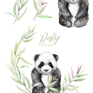 Watercolor Panda, Little Animals Clipart, Babies Portrait, Cub, Tropics ...