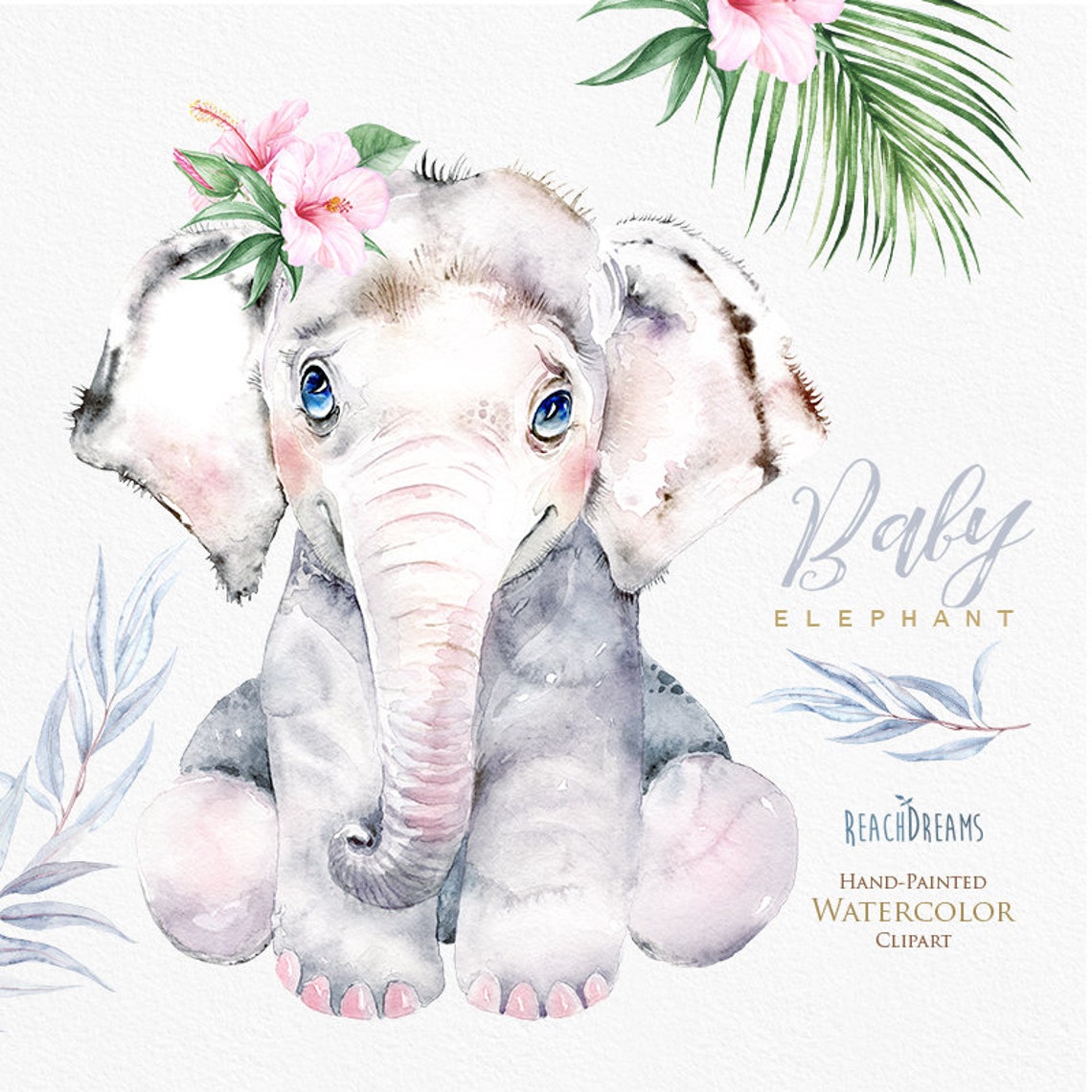 Watercolor Elephant Little Animals Clipart Babies Portrait - Etsy