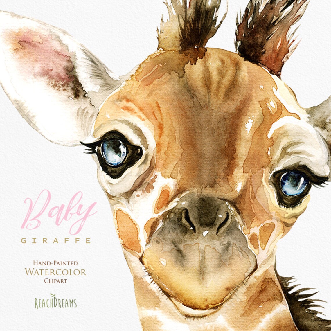 Watercolor Giraffe. Little Animals Clipart Babies Portrait - Etsy