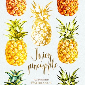 Watercolor Pineapple Clipart, Tropical Fruit, Exotic Hawaii, Yellow ...