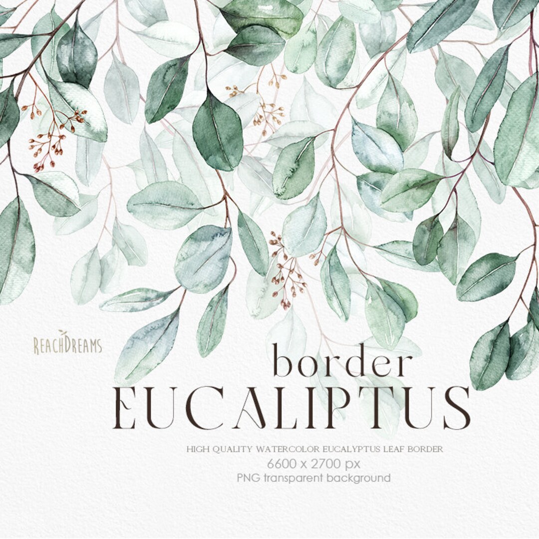 Border Watercolor, Eucalyptus Clipart, Green Tropical Leaves, Wedding ...