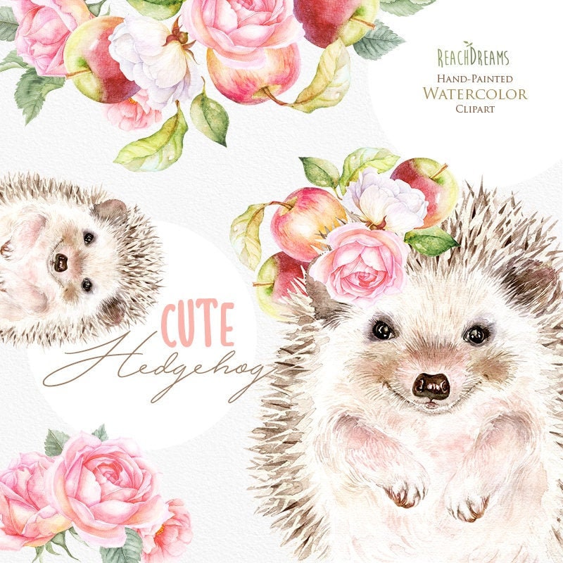 Hedgehog Cute Little Animals Watercolor Clipart Nursery - Etsy UK