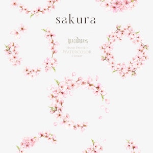 Watercolor Cherry Blossoms Clipart, Sakura Clipart, Floral Wreaths ...