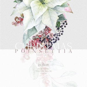 White Poinsettia, Christmas Wreaths, Eucalyptus, Holiday Flowers ...