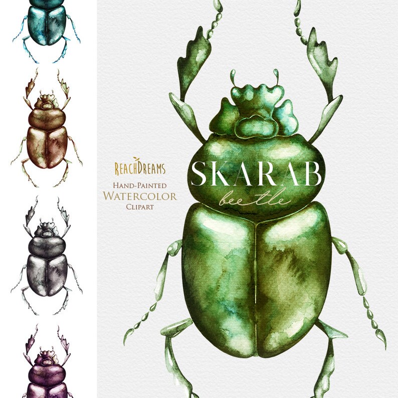 Scarab Beetle Watercolor Clipart Insect Beetles Scarabaeus | Etsy