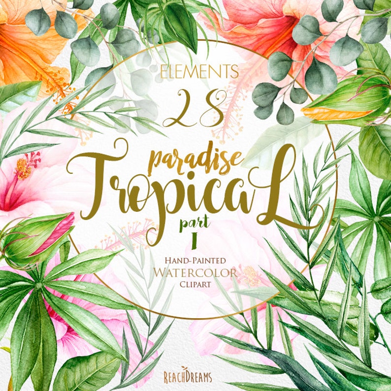 Tropic Clipart, Tropical Watercolor Flowers & Leaves, Hibiscus, Pink ...
