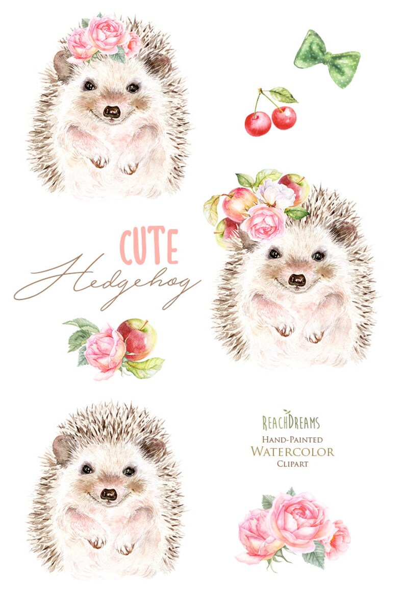 Hedgehog, Cute Little Animals, Watercolor Clipart, Nursery Animal Print ...