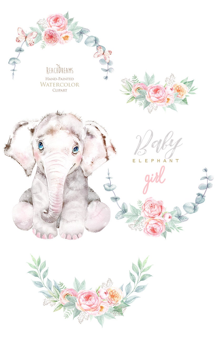 Watercolor Elephant Little Animals Clipart Girl Babies - Etsy