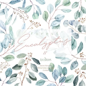 Eucalyptus. Watercolor Floral Clipart. Individual Elements. Green ...