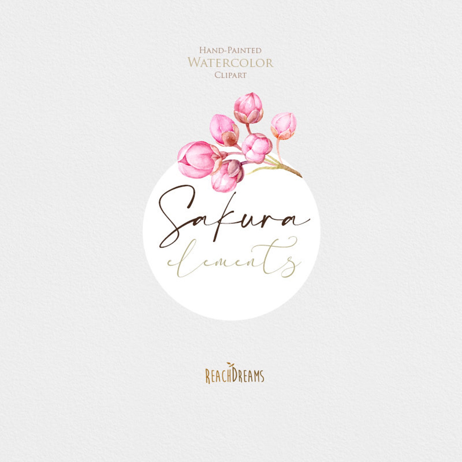 Sakura Elements. Watercolor Floral Clipart Cherry Blossom - Etsy