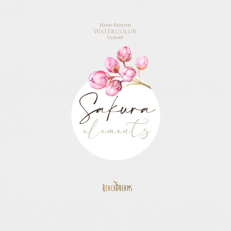 Sakura Elements. Watercolor Floral Clipart, Cherry Blossom, Pink ...