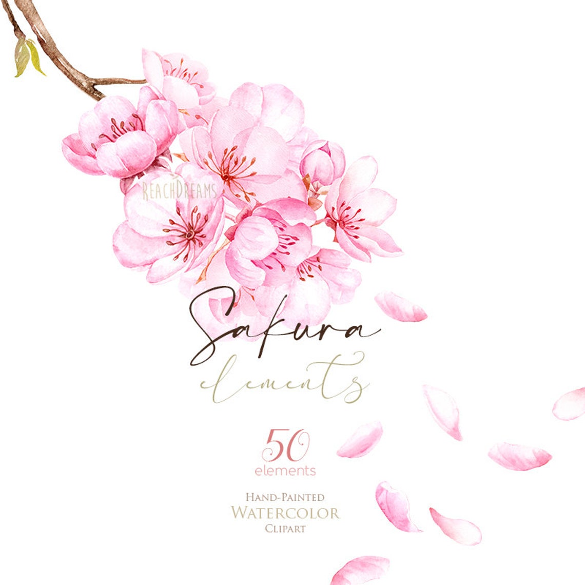 Sakura Elements. Watercolor Floral Clipart, Cherry Blossom, Pink ...