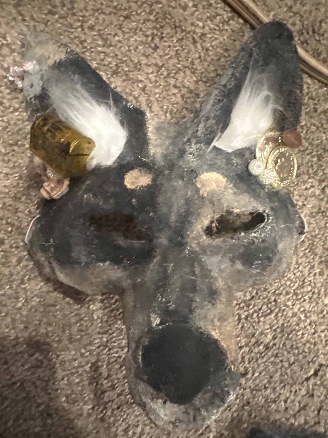 Blue Heeler Therian Mask Beach Dog Mask - Etsy