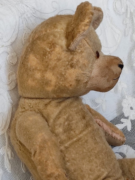 Damaged Teddy Bear