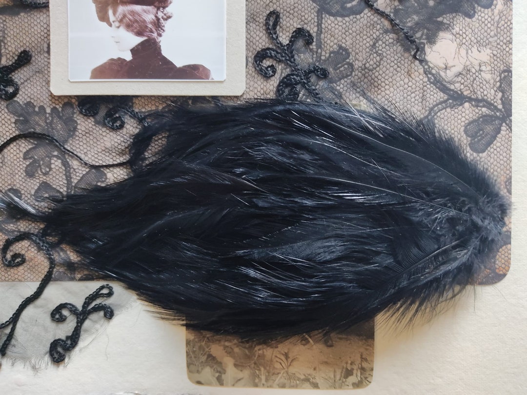Vintage Natural Feathers Hat Feather Shiny Black Old Milliner Craft 20s ...