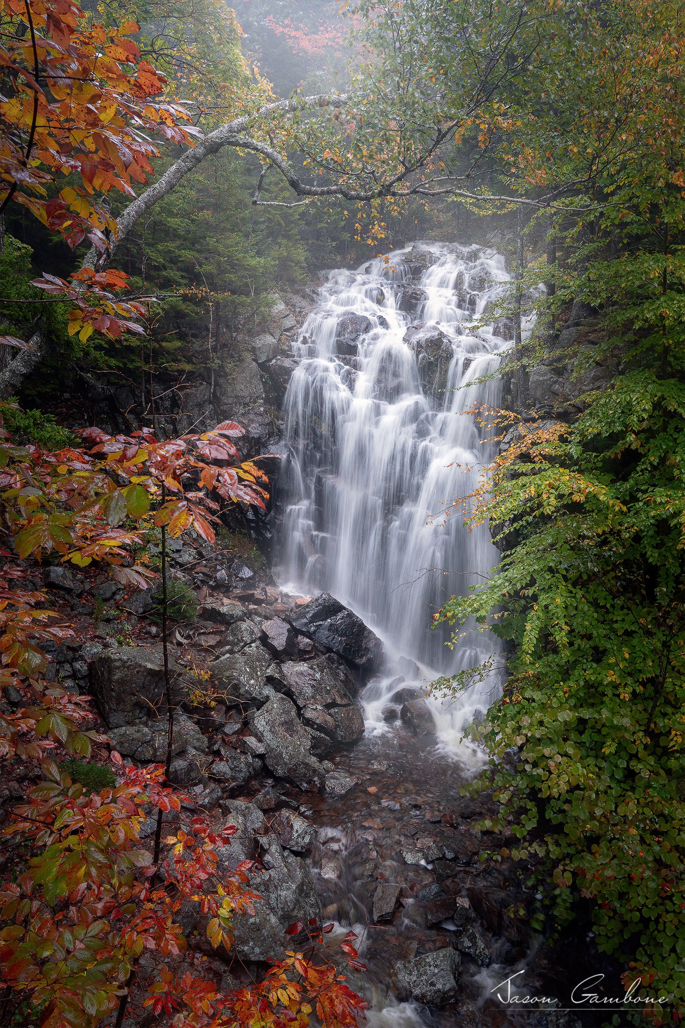 Hadlock Falls Acadia National Park Waterfall, Maine Wall Art for Home ...