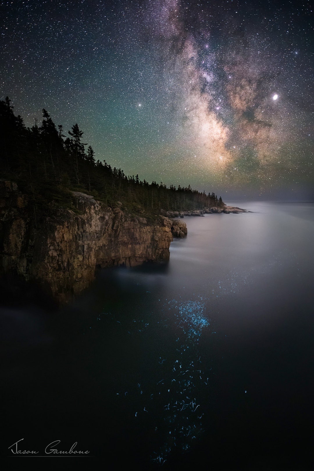 Acadia National Park Night Sky Print: Bioluminescent Plankton, Stars - Etsy