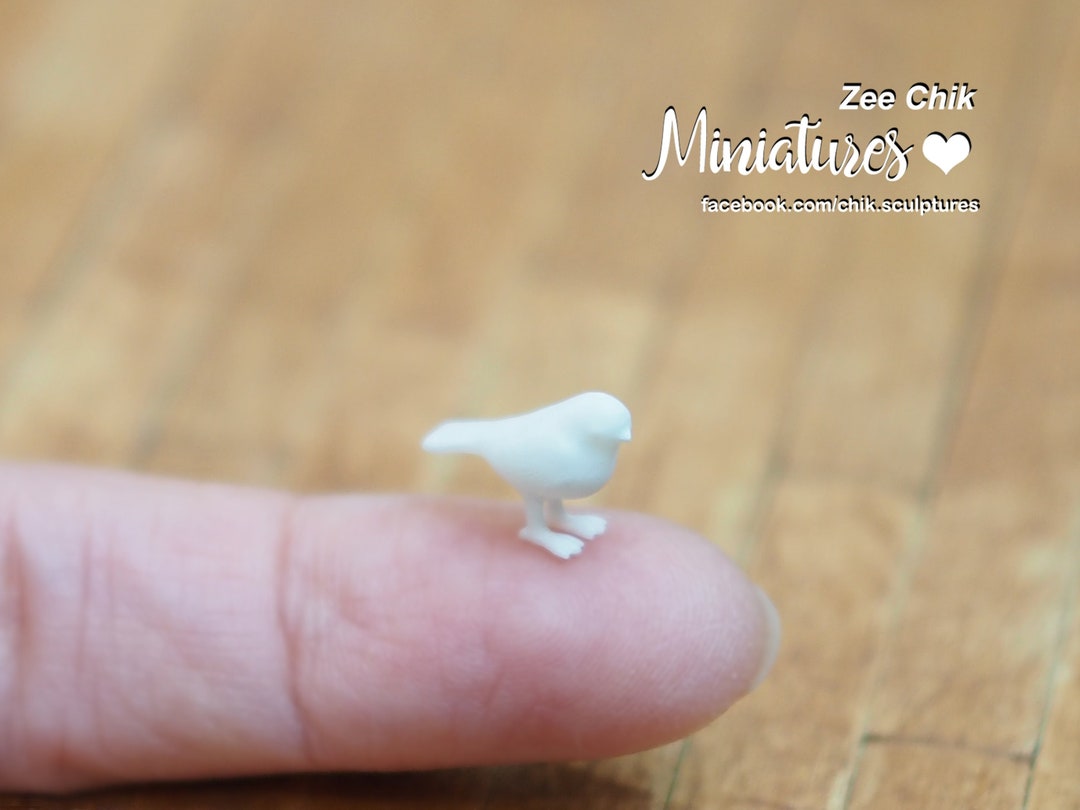 Miniature Bird Scale 1:12, Doll House Decorations Accessories - Etsy