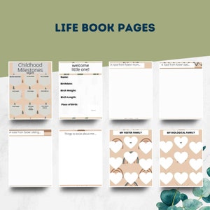 BUNDLE Foster Care Management Binder Life Book BUNDLE L Foster Care ...