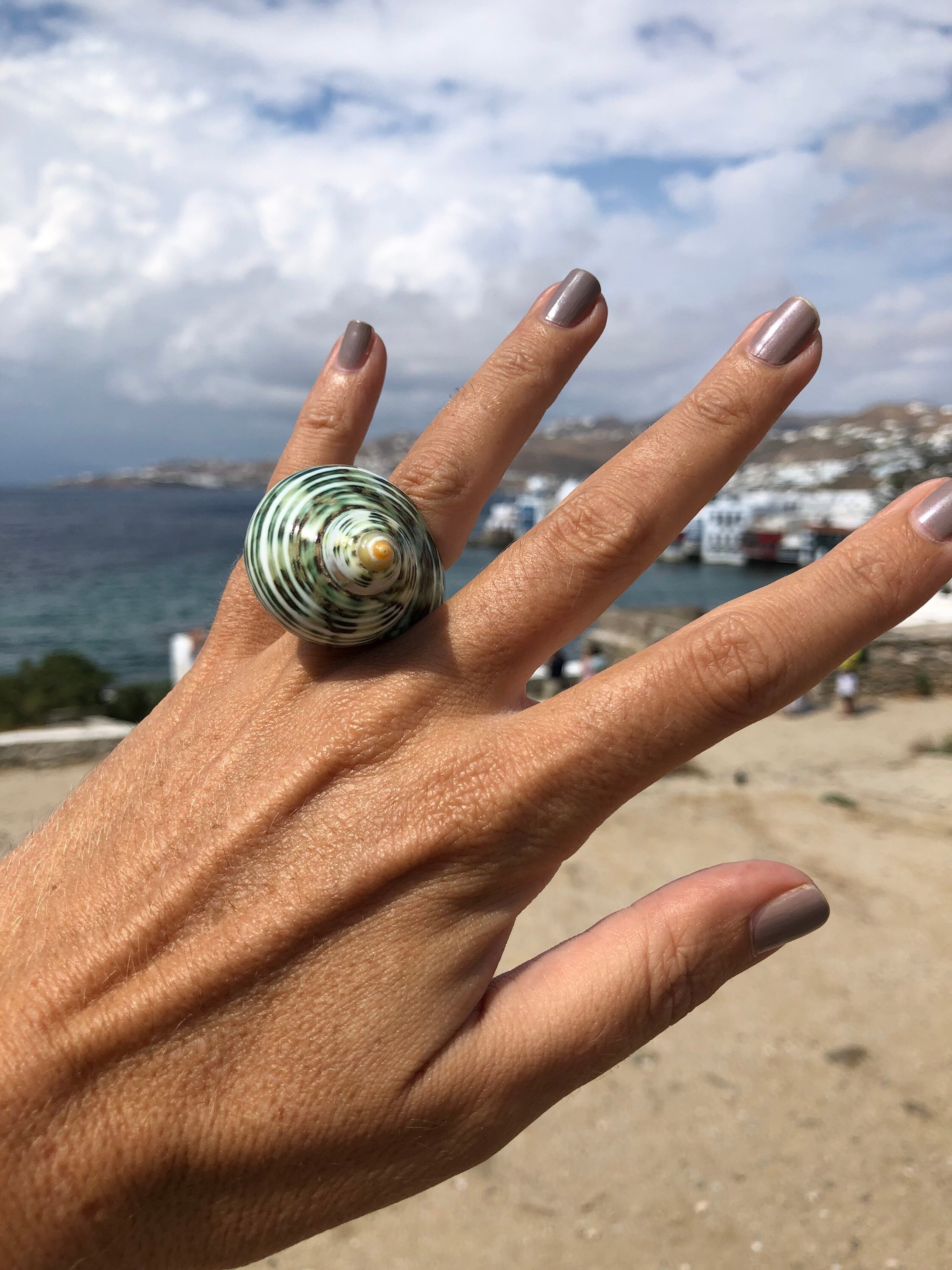 Natural Green Seashell Ring Beach Oversized Ring Aquamarine - Etsy