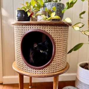 Boho Cane Cat House - Etsy