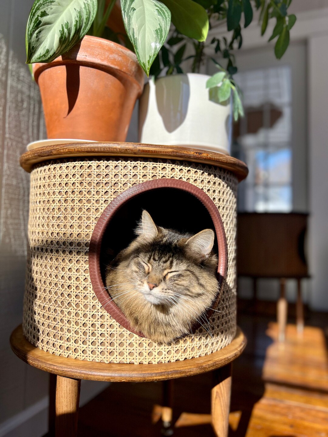 Boho Cane Cat House - Etsy