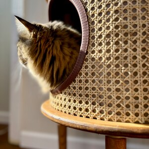 Boho Cane Cat House - Etsy