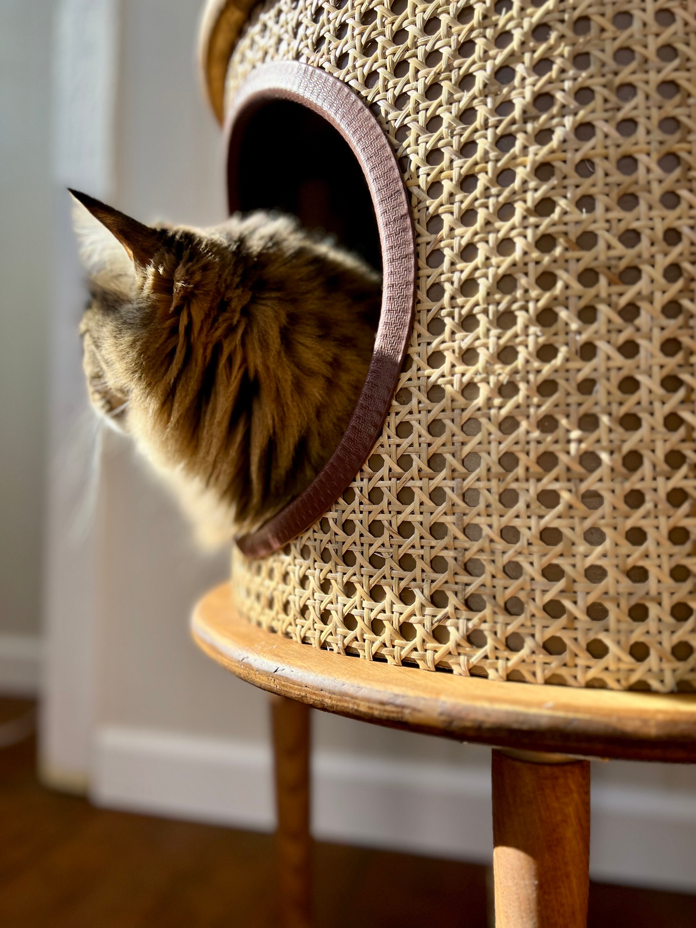 Boho Cane Cat House - Etsy UK