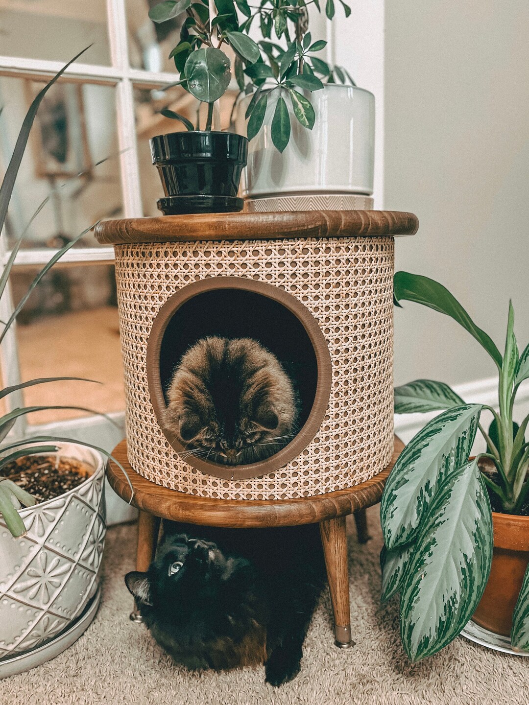 Boho Cane Cat House - Etsy