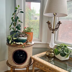 Boho Cane Cat House - Etsy