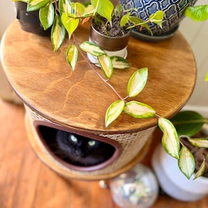 Boho Cane Cat House - Etsy