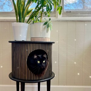 MCM Cat House Table - Etsy