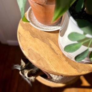 Boho Cane Cat House - Etsy