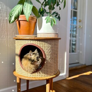 Boho Cane Cat House - Etsy