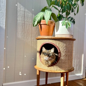 Boho Cane Cat House - Etsy