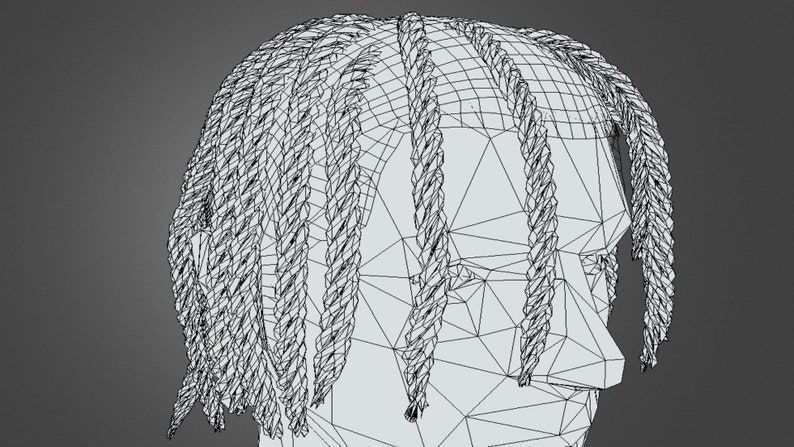 Braided Dreadlocks - 3D Model File - Etsy
