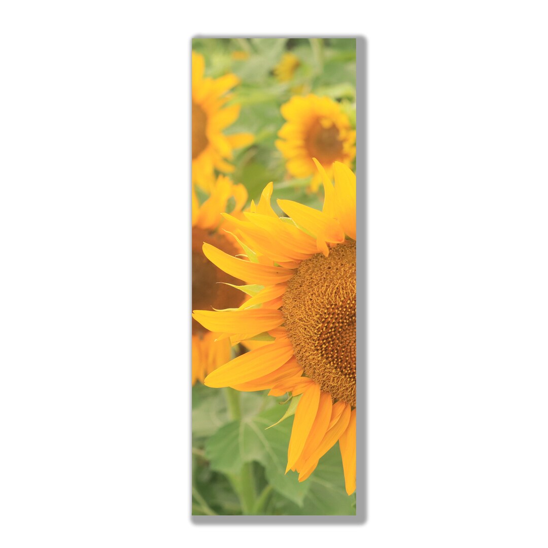 Michigan Photography Bookmark -sunflower Fields From Michigan ...