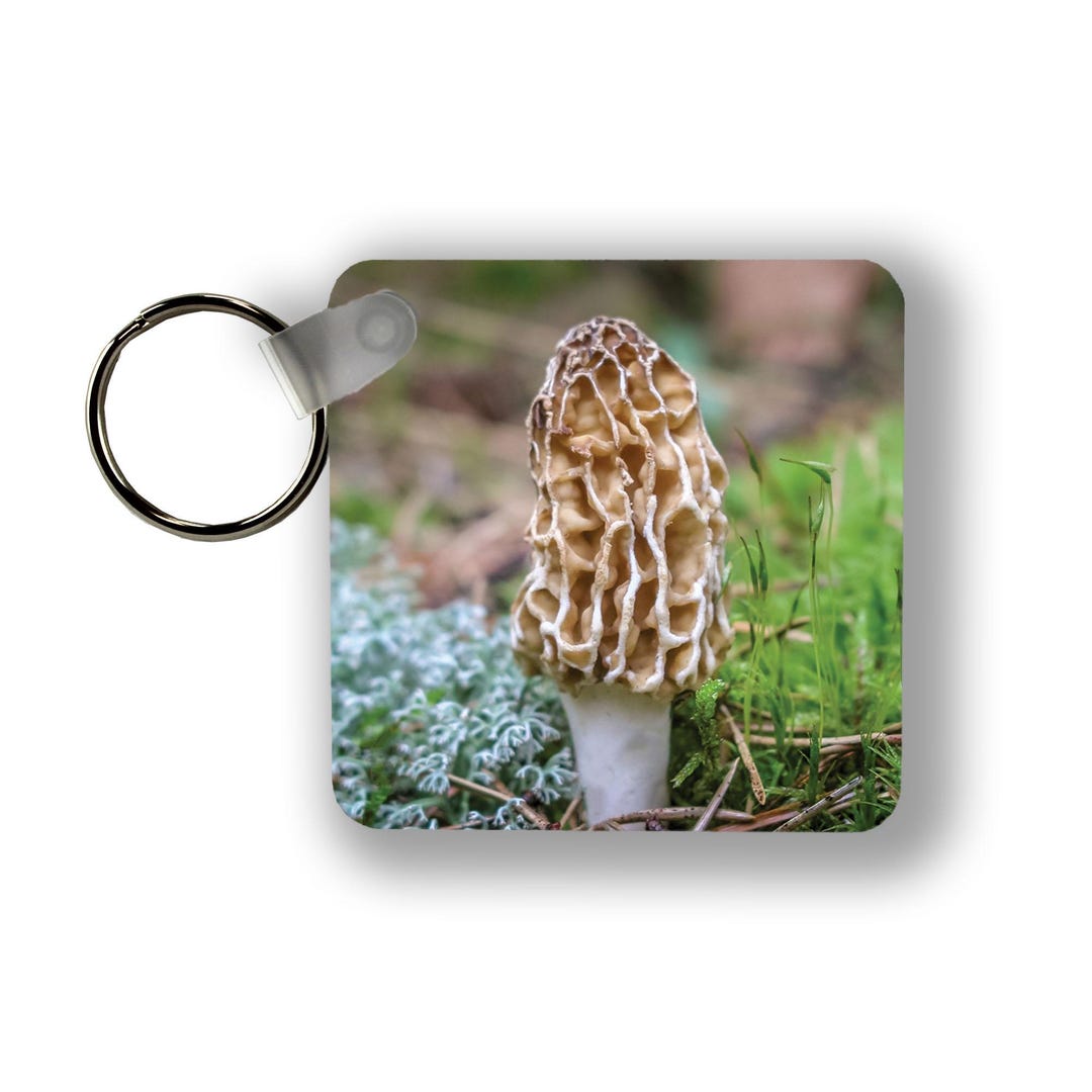 Michigan Keychain - Michigan Acrylic Keychain - Morel Mushroom Keychain ...