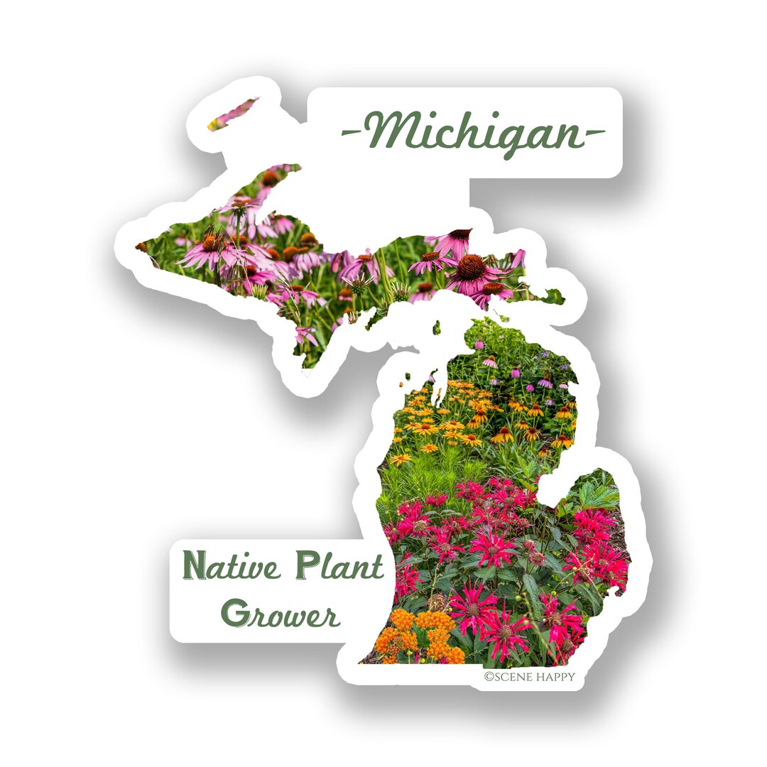 Michigan Native Plant Sticker: Pollinator Art Vinyl Decal - Etsy